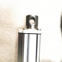 China Permanent Magnet Linear Actuator 12V DC Motor 2000N 100mm Stroke for sale
