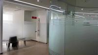 China Permanent Removability Self Adhesive Frosted window Sticker 280g Weight for office decoration for sale