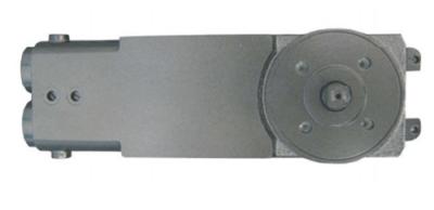 China Glass Door Overhead Concealed Door Closer with Hydraulic Speed Adjustment - 850-1250mm Width, 20-100kg Capacity, UL Listed for sale