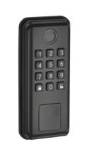 China Smart Electric Rim Lock with WiFi APP Control - 6V Battery Powered Fingerprint Door Lock for 30-70mm Thick Gates for sale