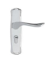 China Stainless Steel 304 Aluminium Alloy Lever Door Handle Lock with Plate for Entry Security for sale