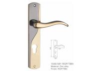 China Brass Cylinder Mortise Door Handle with 70mm Euro Profile Cylinder and Stainless Steel Lock Body - Chrome Plated Finish for sale