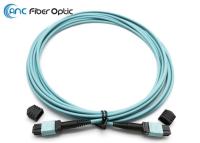 China Data Center 5M Fiber Patch Cables OM3 24 Fiber MPO To MPO Female Round 3.0mm for sale