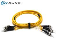 China 12F 24F Fiber Optic Patch Cord for sale