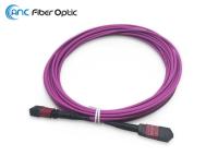 China 8M Digital Fiber Optic Cable LSZH OM4 50/125 Violet MTP Female Type B Elite Trunk Wire for sale