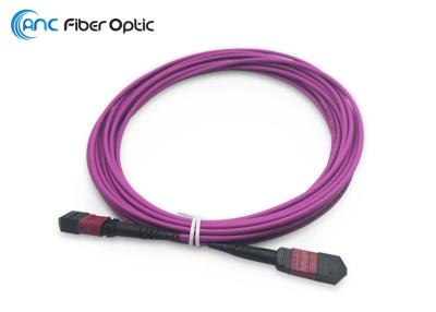 China 8M Digital Fiber Optic Cable LSZH OM4 50/125 Violet MTP Female Type B Elite Trunk Wire for sale