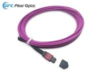 China 8M Digital Fiber Optic Cable LSZH OM4 50/125 Violet MTP Female Type B Elite Trunk Wire for sale