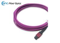 China 8M Digital Fiber Optic Cable LSZH OM4 50/125 Violet MTP Female Type B Elite Trunk Wire for sale