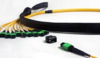 China SM OM3 OM4 MPO Fiber Optic Cable Assemblies Customized For 40G 100G Cabling for sale