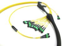 China SM OM3 OM4 MPO Fiber Optic Cable Assemblies Customized For 40G 100G Cabling for sale