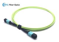 China 12 Fiber Female MPO To MPO Fiber Optic Cable Assemblies OM5 50/125 Type B for sale