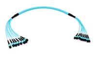 China MTP MPO Trunk Fiber Optic Cable Assemblies High Density 96F 144F 50M 100M 200M for sale