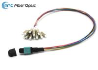 China Fan Out Fiber Optic Cable Assembly MTP MPO To LC 0.9mm Connector 12 /24 Fiber for sale
