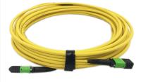 China 12F 24F MPO To MPO Fiber Optic Cable 4.5mm Double Jacket OM4 OM3 SM Optional for sale