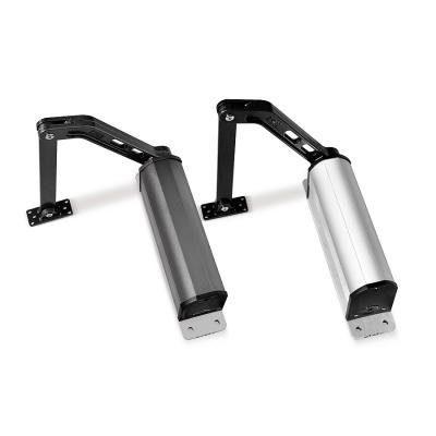 China Touchless Entry Auto Swing Gate Opener Double Side Ultra Silent For Residential Gate for sale