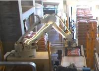 China Industrial Robotic Automatic Palletizer Machine , Compact Robotic Bag Palletizer for sale