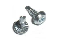China Pan-framing Head Self Drilling Screw Zinc Plated 3.5/3.9*(11~16)mm for sale