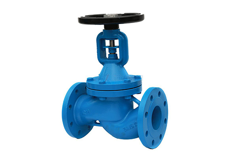 Bellow Seal Globe Valve Bellow Seal Globe Valve