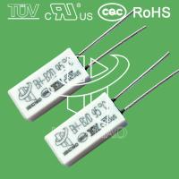 China Plastic Case Thermal Protector Fuse BH-B2D Fluorescent Lamp Ballasts Usage for sale