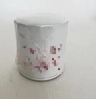 China 100% Tested Excavator Fuel Filter JX-650 A222100000569 4650205 B222100000569 4650205 for sale