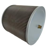 China Standard 32925359 OE NO. Hydraulic Oil Tank Filter HF28925 with Customizable Options for sale