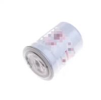 China 1.9T Engine Diesel Filter Element 3000501 Ideal for Other Car Fitment OEM Acceptable for sale