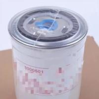 China 1.9T Engine Diesel Filter Element 3000501 Ideal for Other Car Fitment OEM Acceptable for sale