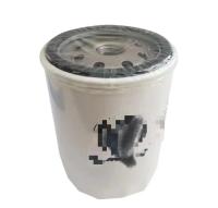 China Diesel Filter 1000622860 Customizable Engine Filtration System with Acceptable OEM for sale