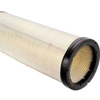 China RS4629 84432504 AH174196 21386706 11ND20230 P781102 Air Filter for Other Car Fitment for sale