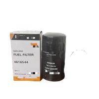 China Engineering Machinery Parts RanyouZx250 4616545 4616544 Fuel Filter for Performance for sale