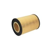 China Customizable A470090251/004 Truck Spare Parts Fuel Filter for BG-1578 Reference NO for sale