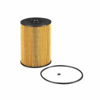 China Other Year Diesel Vehicle Fuel Filter Element ME165323 F-333 23304-EV090 Customizable for sale