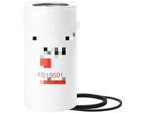 China Customized Supply FS19591 Fuel Filter for Excavator Engine Acceptable OEM Support for sale