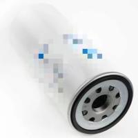 China 612630080087 Car Model Fuel Filter R01018 FF5740 61263008007 with Customization Option for sale