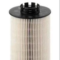 China MAN Truck Engine Fuel Filter 102889138 51.12503-0061 with Iron Pressure Filter Paper for sale