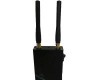 China 315MHz 433MHz Dual Frequency Signal Jammer with 100m Range and Built-in Rechargeable Battery for sale