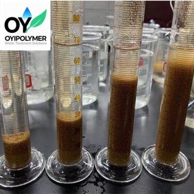 China White Sand Washing Water Purification Polymer Anionic Polyacrylamide Mining Focculants for sale