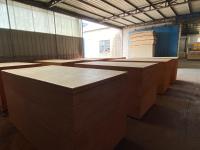 China HENF Zero Formaldehyde Plywood Melamine Faced Board 1220x2440mm for Furniture Cabinet for sale