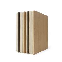 China Heat Aging Resistant Plywood Board HENF Hardwood Panel for Indoor Renovation Projects for sale