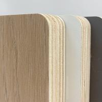 China Heat Aging Resistant Plywood Board HENF Hardwood Panel for Indoor Renovation Projects for sale