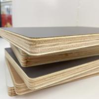 China Anti Corrosion Hardwood Plywood Panel Long Lifespan for Permanent Building Decoration for sale
