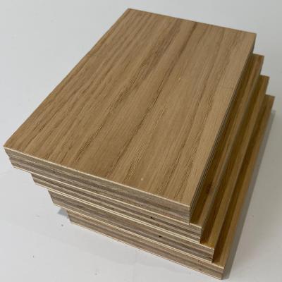 China High Screw Holding Furniture Plywood Strong Nail Retention Panel Heavy Duty Load for sale