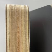 China HENF Bionic Marine Ocean Plywood Sheet Waterproof Anti Corrosion for Yacht Interior for sale