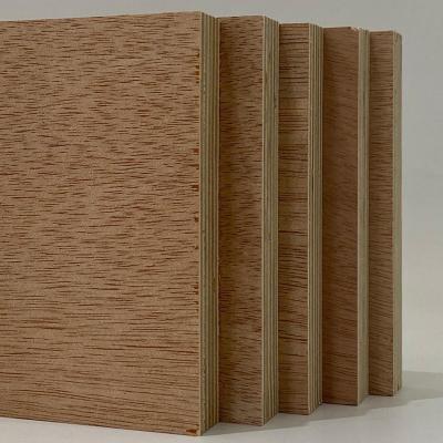 China Humidity Resist HENF Marine Plywood for Constant Humidity Inner Wall Decoration Panel for sale