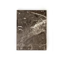 China Anti Vibration Particle Sheet Bionic FLSB Board Wear Resistant for Container Interior for sale