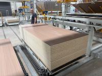 China Biomimetic ENF High Strength Decorative Panel Particle Boards Chipboard for sale