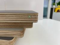 China 1220x2440mm Boinic FLSB Anti Humidity Commercial Plywood Board for Kitchen Cabinet for sale