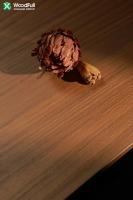 China HENF Anti Humidity High density Birch Core Plywood Waterproof Panel for Furniture Cabinet for sale
