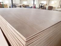 China 4x8ft High Stability Eco Panel Particle Board 1220x2440mm for Children Room Furniture for sale