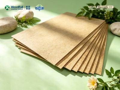 China HENF Grade 680 kg/m³ Density 1220x2440mm MDF Furniture Board for Decoration for sale